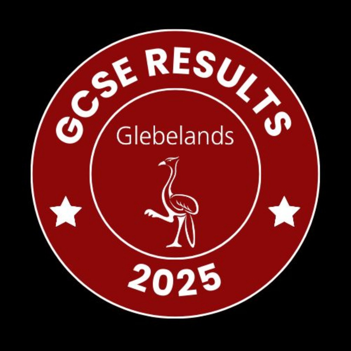 Glebelands School - GCSE Triumph: Results Surpass Last Year's Record